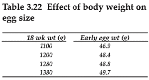 Layer Poultry Farming Guide for High Egg Production